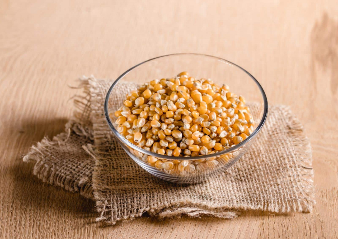 Bio Popcorn Mais online bestellen | vomfeld.at
