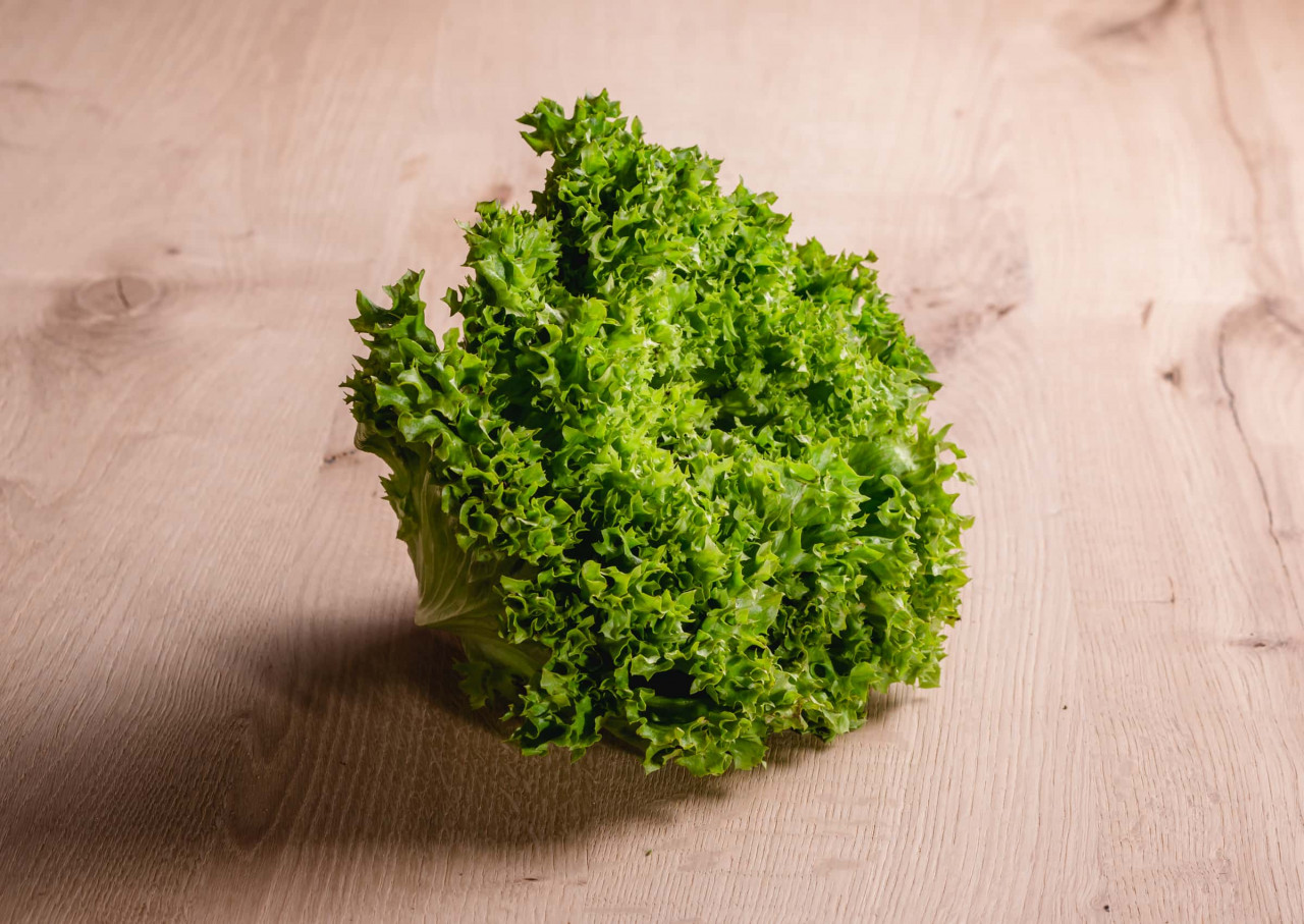 Lollo Verde online bestellen | vomfeld.at