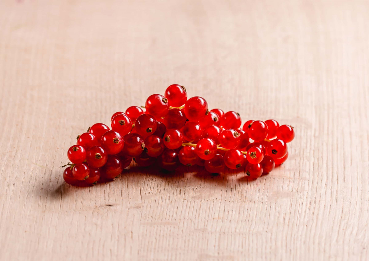 Ribisel online bestellen | vomfeld.at