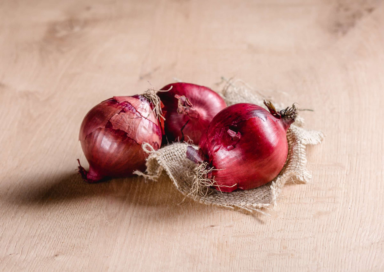 Bio Zwiebel rot online bestellen | vomfeld.at